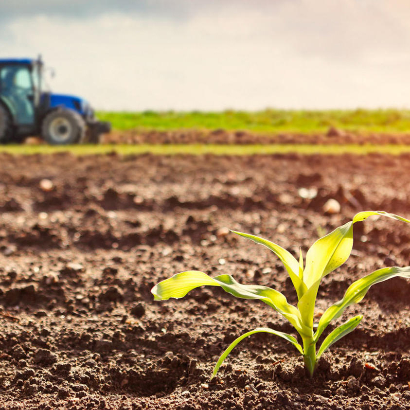 Grow Facility Architects | Grow Building Permit Services, CA